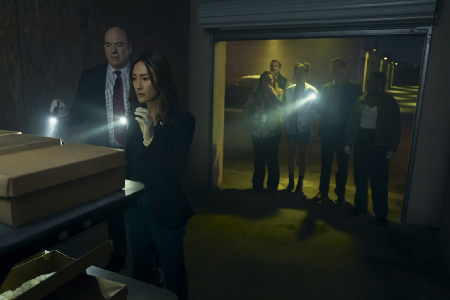 Ballard TV Series - Michael Connelly